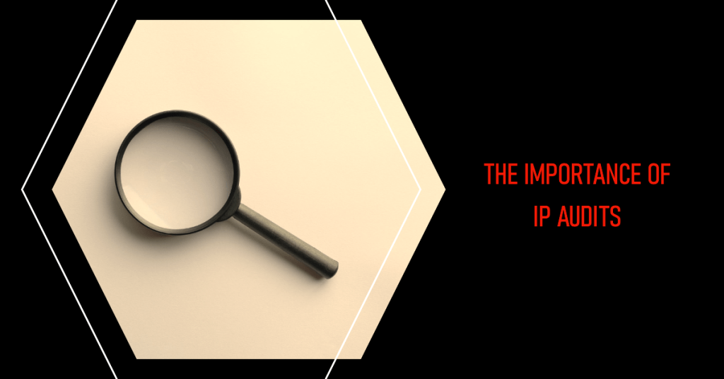 What Is The Importance Of IP Audits?